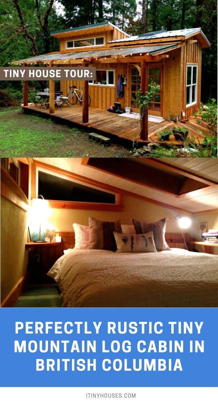 Beautiful Rustic Tiny Cabin Fits Right in With Nature Even the Tub ...