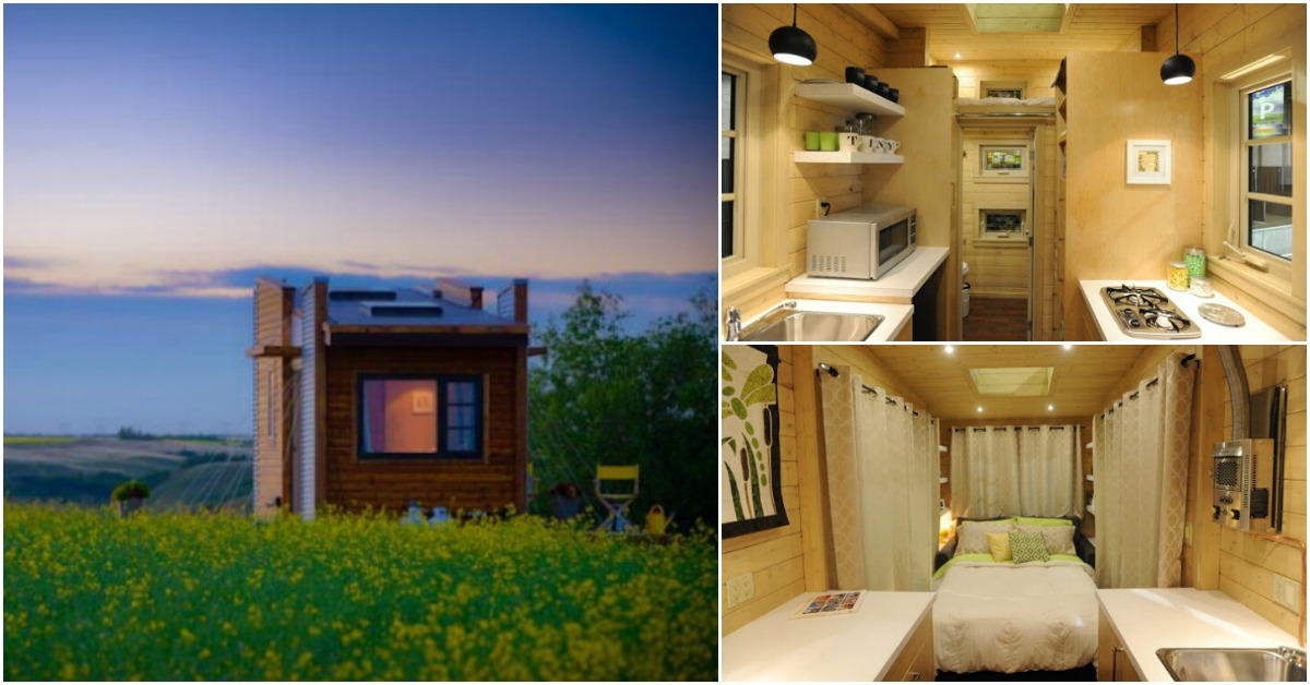 The Dragonfly by Robinson Residential Will Take Your Breath Away - Tiny ...