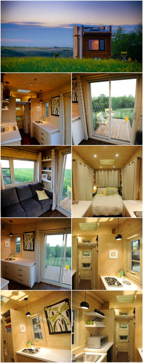 The Dragonfly by Robinson Residential Will Take Your Breath Away - Tiny ...