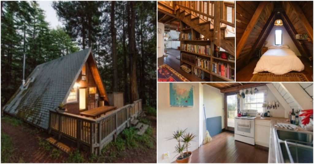 Community of Tiny Houses in Washington Design with Nature and Neighbors ...